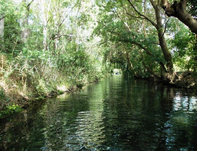 Ciane, il fiume dei papiri | Guida Sicilia