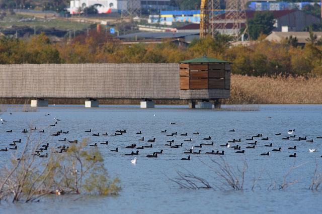 La Riserva Naturale Saline di Priolo | Guida Sicilia
