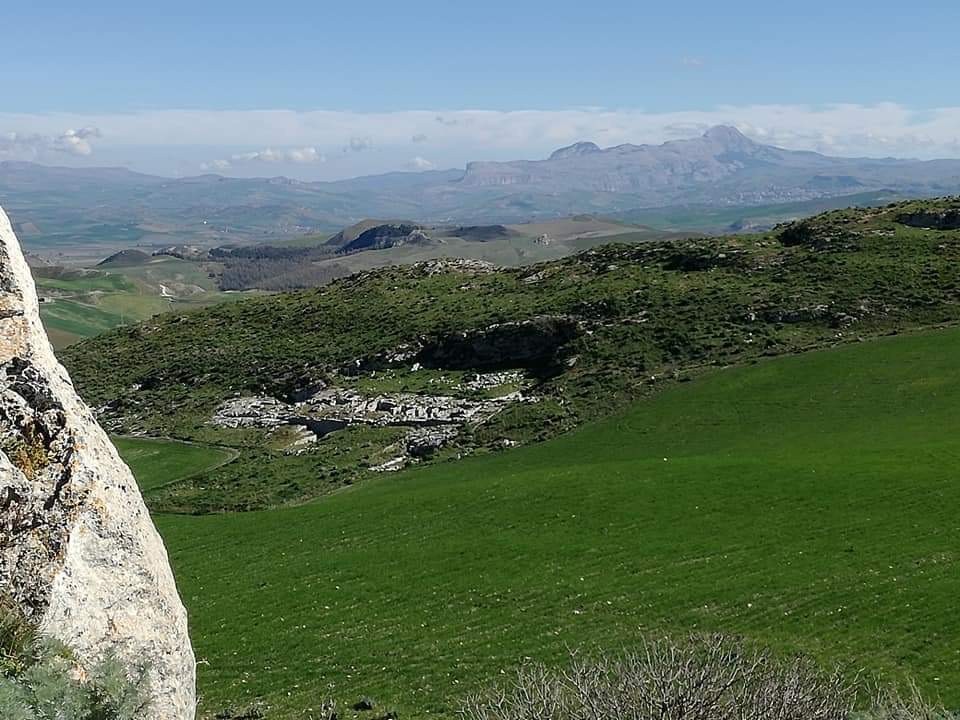 Riprendono gli scavi archeologici a Entella | Guida Sicilia