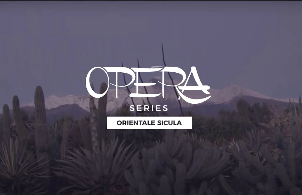 ''Opera Series'', performance musicali adattate in contesti naturali ...