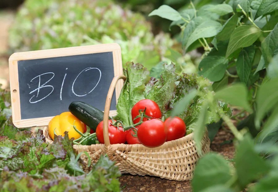 La pandemia ha scatenato negli italiani la passione per gli alimenti ...