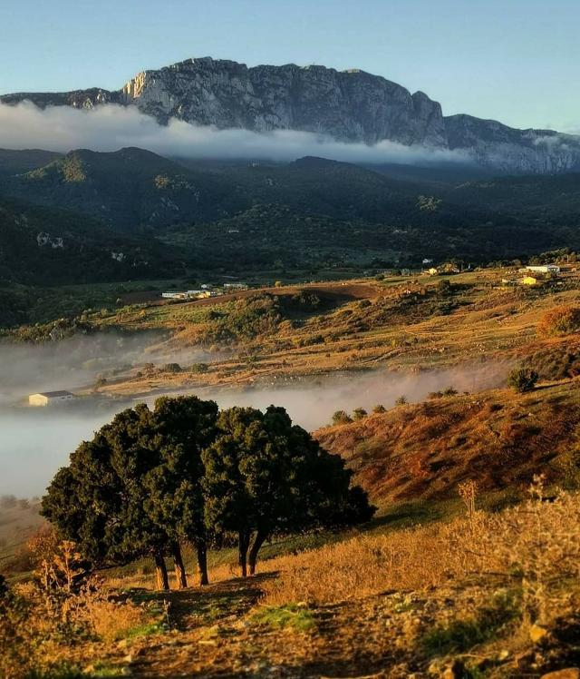 Riqualificazione a Corleone e nel Parco di Ficuzza con i fondi Psr ...