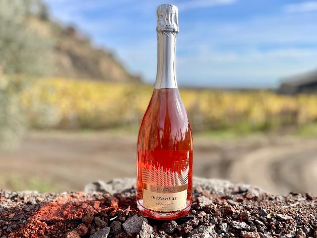 Dal versante Sud dell'Etna arriva il primo spumante da Nerello Cappuccio | Guida Sicilia