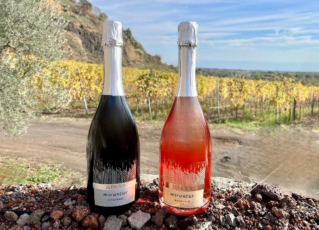 Dal versante Sud dell'Etna arriva il primo spumante da Nerello Cappuccio | Guida Sicilia