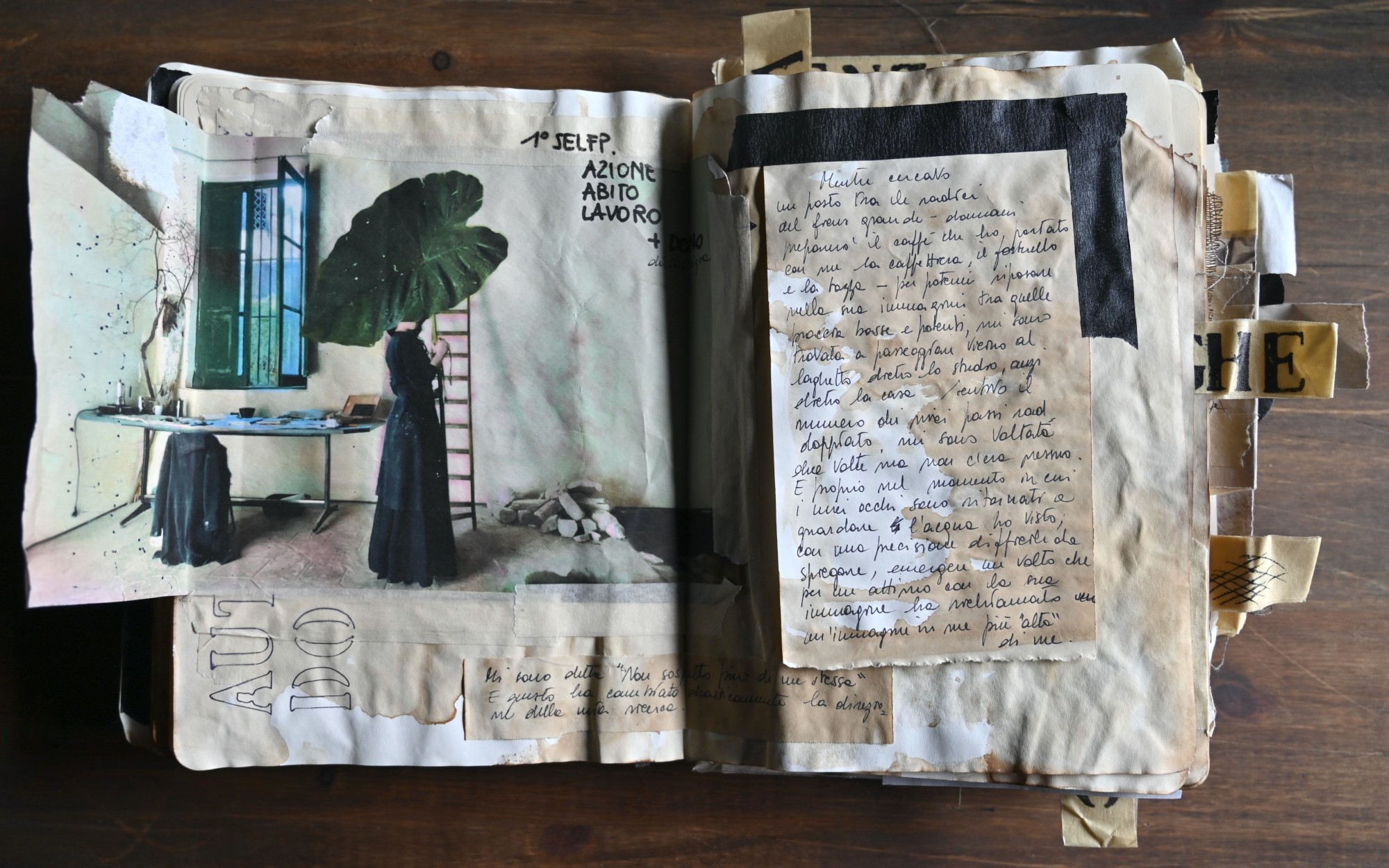 ''Tiziana Cera Rosco. Anthurium - Parla mio fiore'', Orto Botanico di Palermo - Orto Botanico di ...