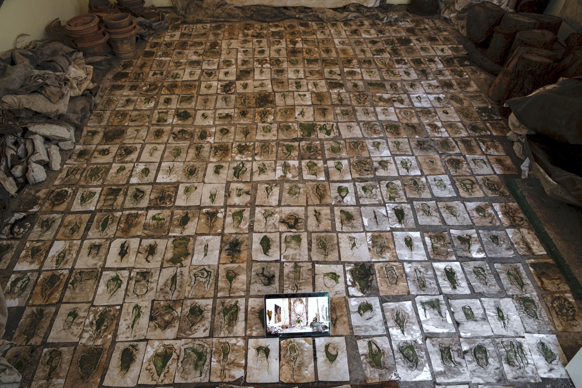 ''Tiziana Cera Rosco. Anthurium - Parla mio fiore'', Orto Botanico di Palermo - Orto Botanico di ...