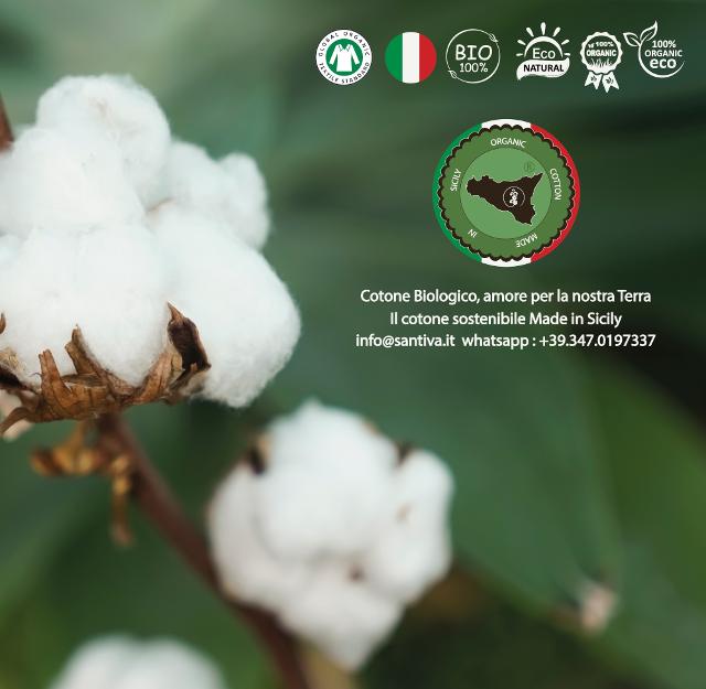 Alla scoperta del cotone siciliano: seguendo la ''rotta del fiocco ...