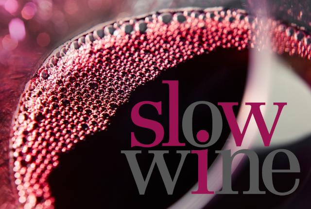 La Sicilia del vino vista da Slow Wine 2024 | Guida Sicilia