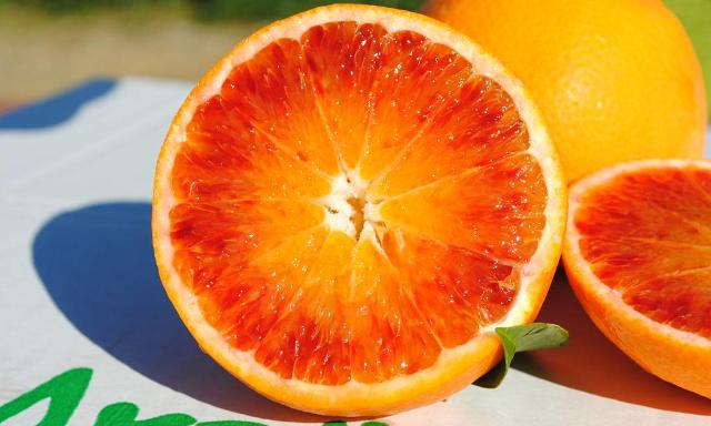 XIII Sagra del Tarocco a Francofonte - Francofonte | Guida Sicilia