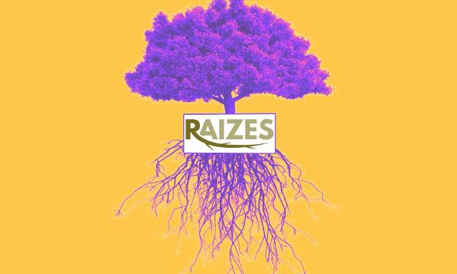Raizes Teatro dedica il 2024 ai giovani di Palermo | Guida Sicilia