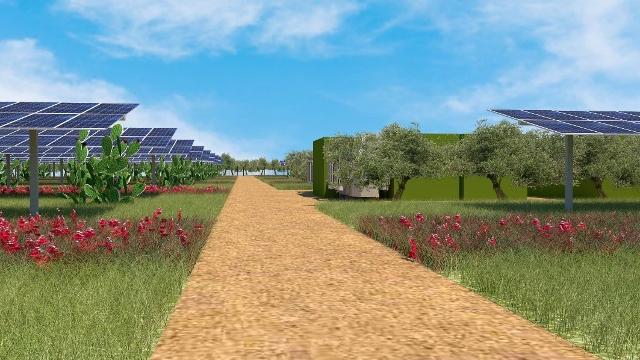 A Ramacca (CT) presto un impianto agrivoltaico da oltre 42 milioni di ...